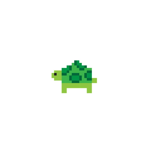 Pixel art turtle Vector Art Stock Images | Depositphotos