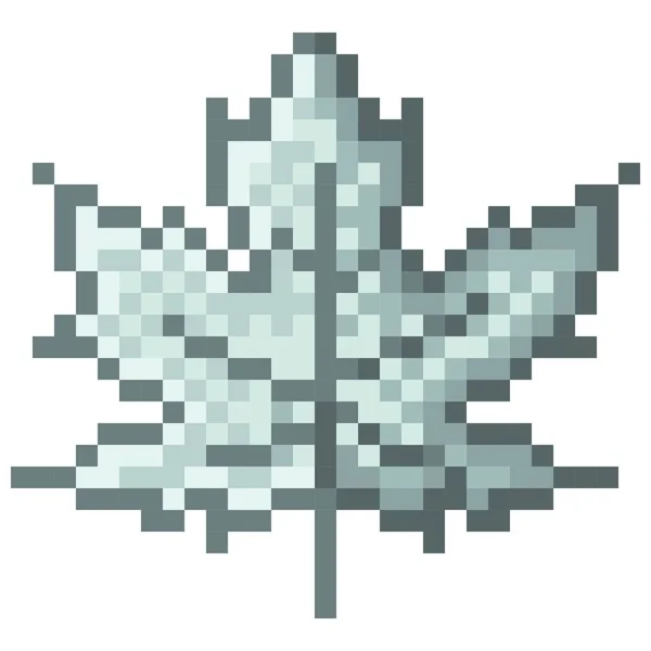 Silver maple tree Vector Art Stock Images | Depositphotos