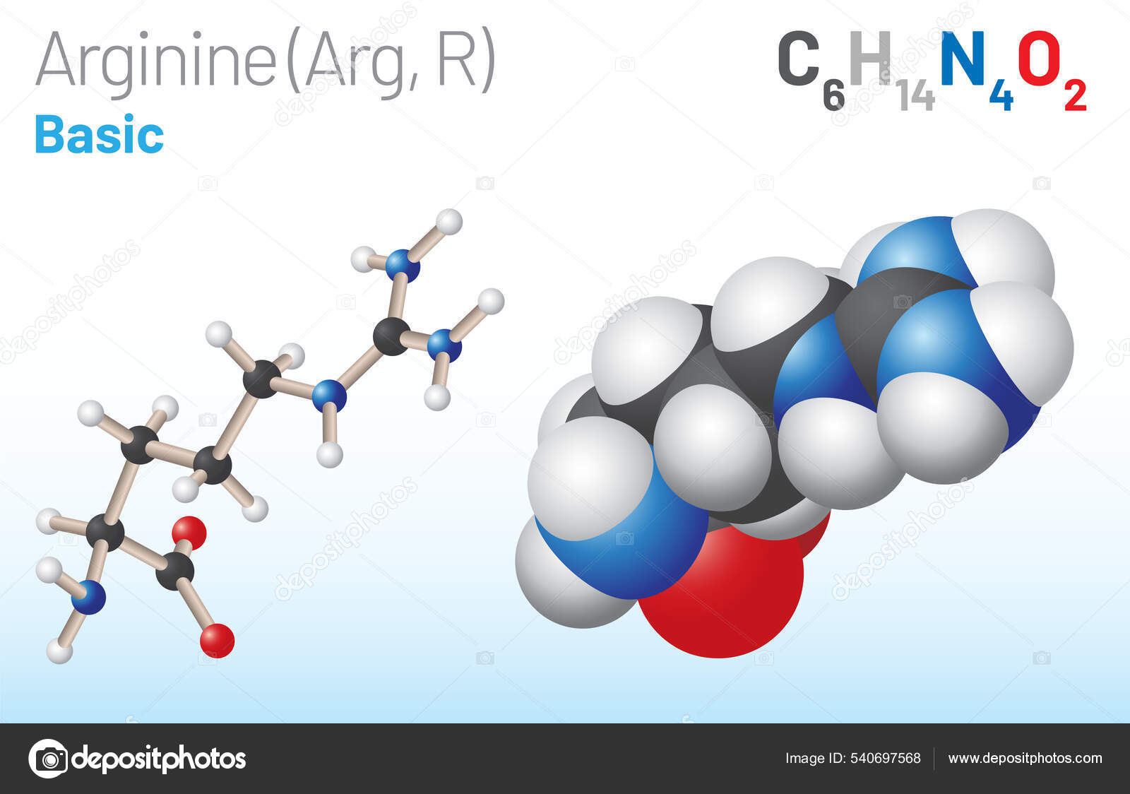 Arginine Arg Amino Acid Molecule Chemical Formula C6H14N4O2 Used ...