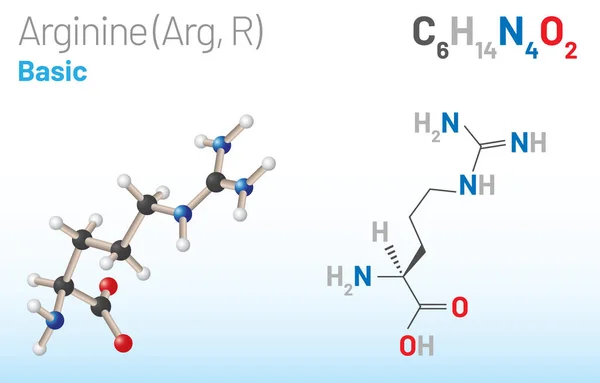 Arginine (Arg, R) amino acid molecule. (Chemical formula C6H14N4O2) it ...