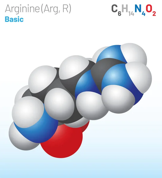 Arginine (Arg, R) amino acid molecule. (Chemical formula C6H14N4O2) it ...
