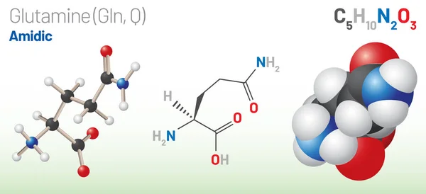 Glutamina (Gln, Q) molécula de aminoácidos. (fórmula química C5H10N2O3 ...