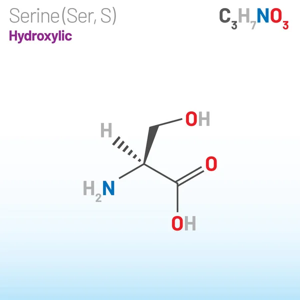 Serine (Ser, S) amino acid molecule. (Chemical formula C3H7NO3) it is ...