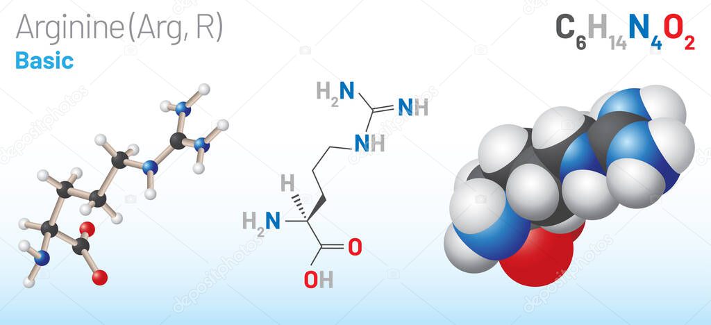 Arginine (Arg, R) amino acid molecule. (Chemical formula C6H14N4O2) it ...