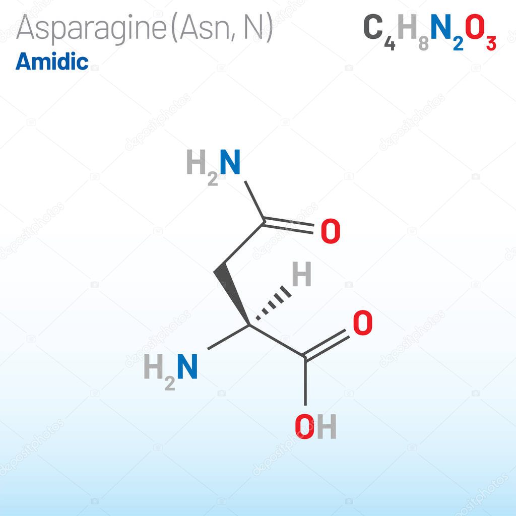 Molécula de aminoácidos de asparagina (Asn, N). (fórmula química ...