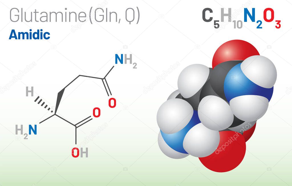 Glutamina (Gln, Q) molécula de aminoácidos. (fórmula química C5H10N2O3 ...