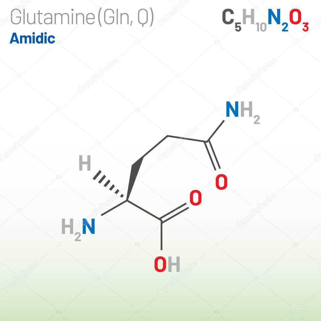 Glutamina (Gln, Q) molécula de aminoácidos. (fórmula química C5H10N2O3 ...
