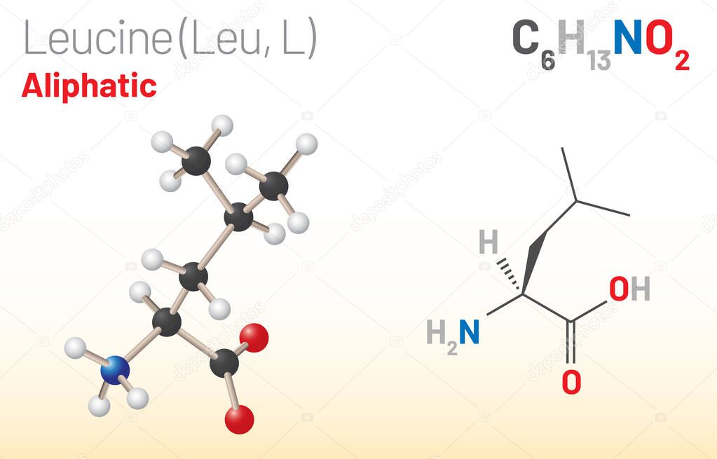 Leucine (Leu, L) amino acid molecule. (Chemical formula C6H13NO2) it is ...