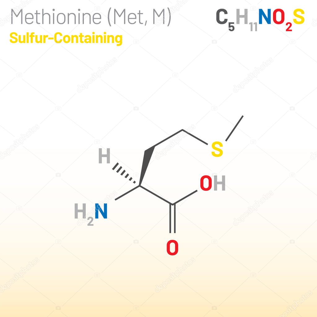 Metionina (Met, M) molécula de aminoácidos. (fórmula química C5H11NO2S ...