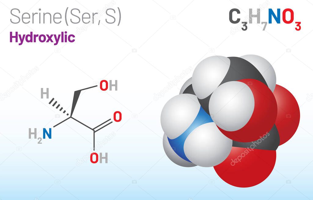 Serine (Ser, S) amino acid molecule. (Chemical formula C3H7NO3) it is ...