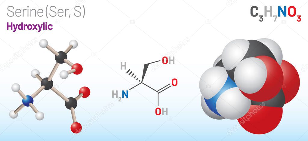 Serina (Ser, S) molécula de aminoácidos. (fórmula química C3H7NO3) se ...