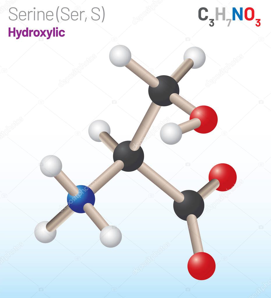 Serina (Ser, S) molécula de aminoácidos. (fórmula química C3H7NO3) se ...