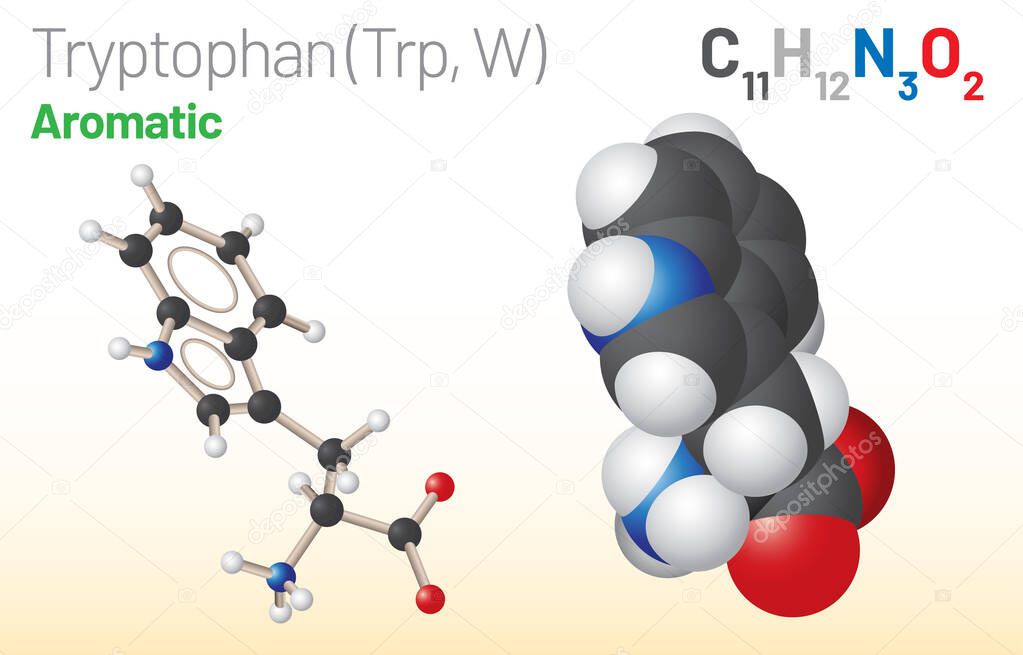 Triptófano (Trp, W) molécula de aminoácidos. (fórmula química ...