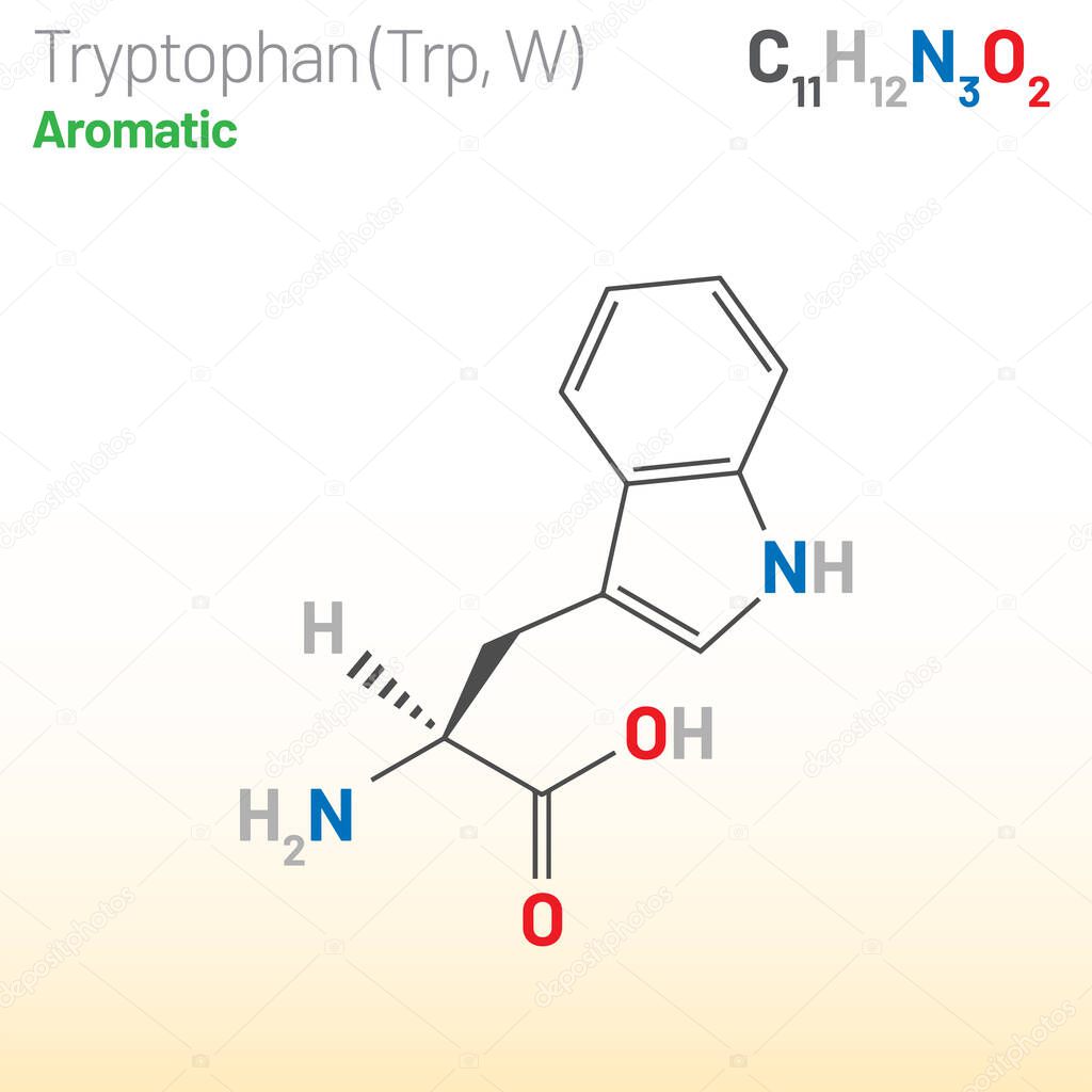 Triptófano (Trp, W) molécula de aminoácidos. (fórmula química ...