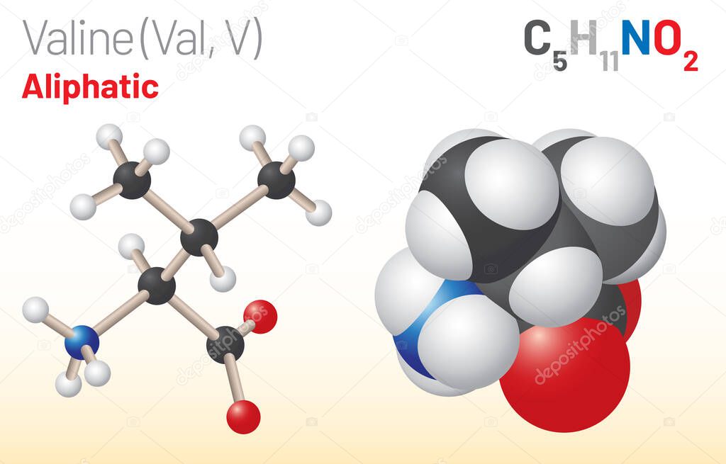 Valina (Val, L) molécula de aminoácidos. (fórmula química C5H11NO2) se ... Valina (Val, L) molécula de aminoácidos. (fórmula química C5H11NO2) se ...