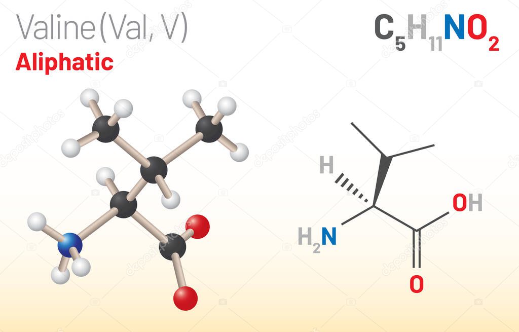 Valina (Val, L) molécula de aminoácidos. (fórmula química C5H11NO2) se ...