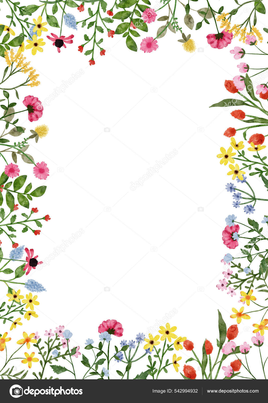 Watercolor wildflower border. Botanical spring summer flowers frame ...