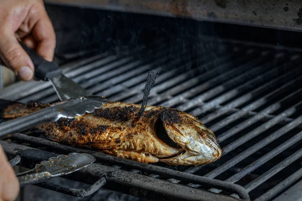 process of grilling whole Sea Bream fish on a barbecue grill over hot ...