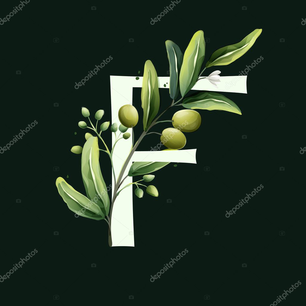 Logotipo de letra F en estilo acuarela con ramas de olivo. Ilustración de bayas mediterráneas ...