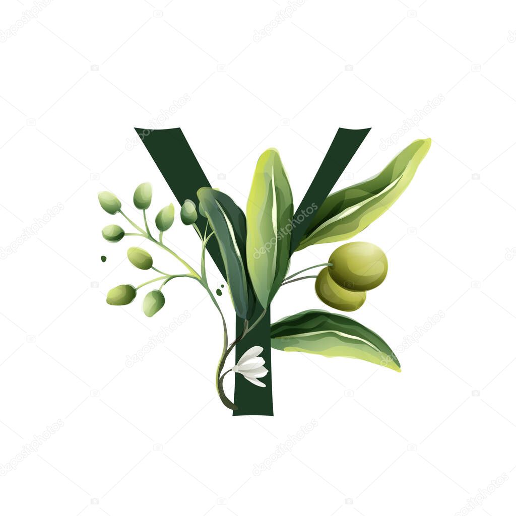 Logotipo de letra Y en estilo acuarela con ramas de olivo. Ilustración de bayas mediterráneas ...