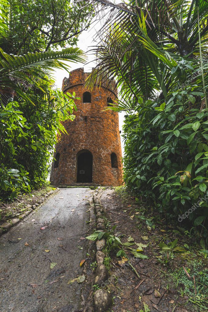 Camino al Monte Britton Mirador Torre El Yunque Bosque Nacional Puerto ...