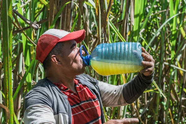 Farmer drinking water Images - Search Images on Everypixel