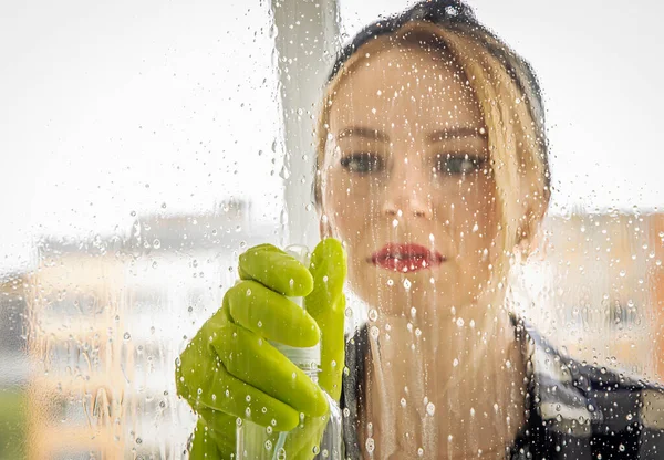 Funny window cleaner Stock Photos, Royalty Free Funny window cleaner ...