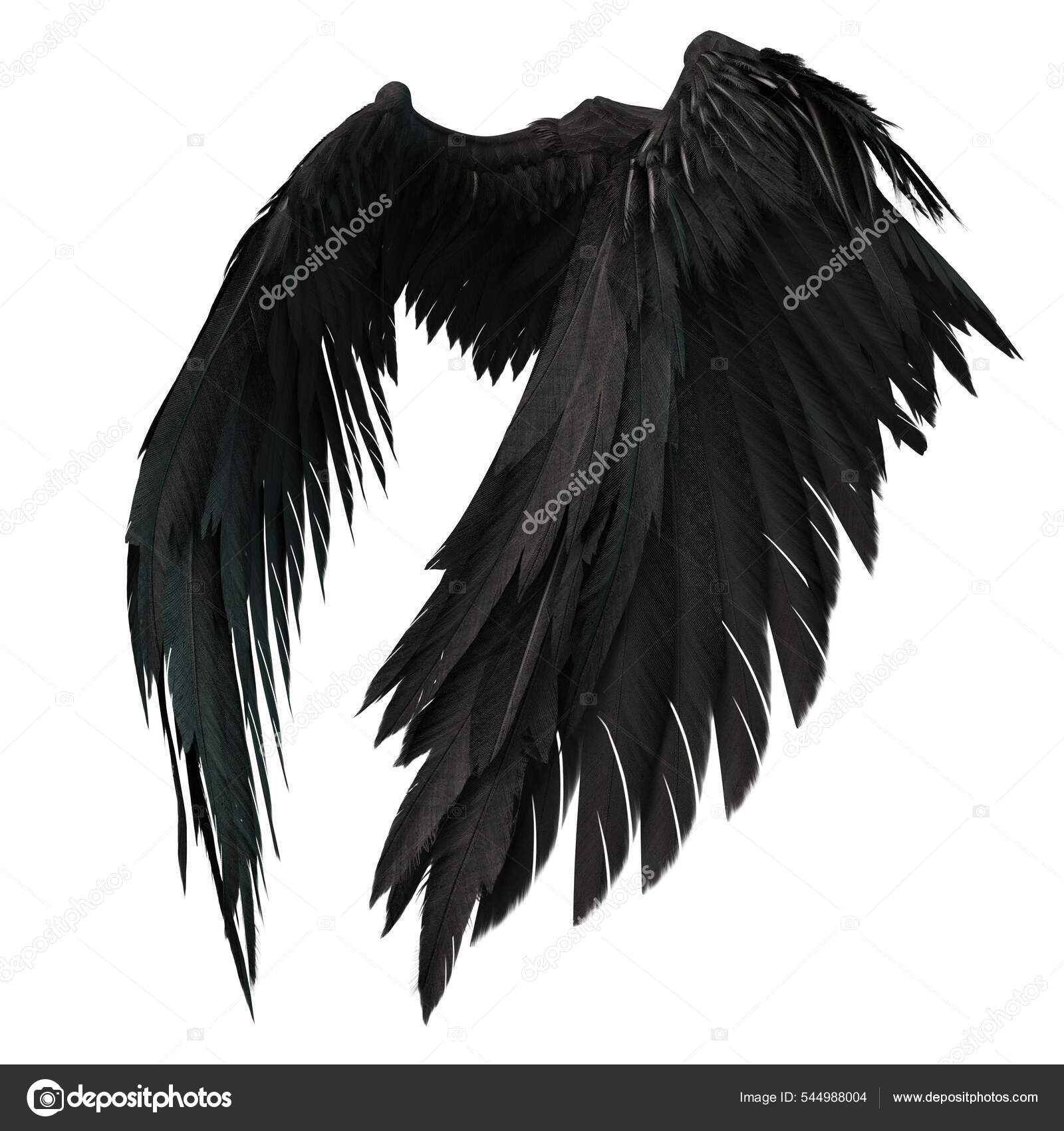 Pair Isolated Angel Wings Feathers White Background Illustration ...