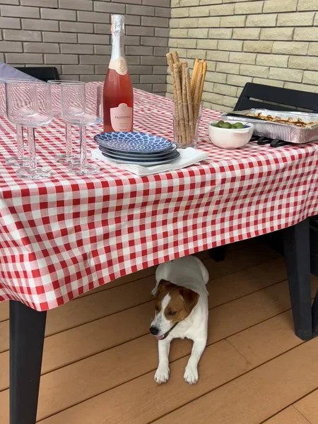 Dog dinner table Stock Photos, Royalty Free Dog dinner table Images ...