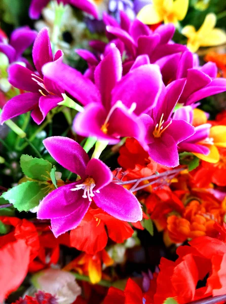 Most beautiful flowers Stock Photos, Royalty Free Most beautiful ...