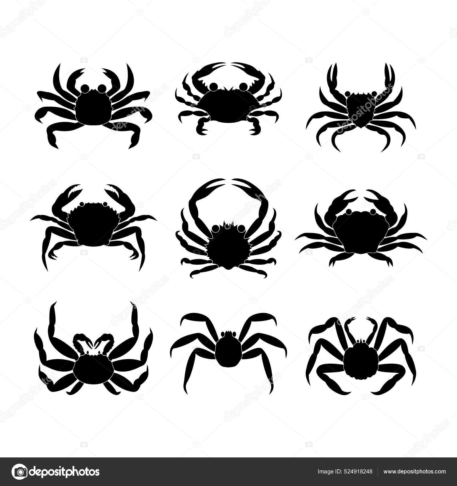 Icons Sea Crabs Different Species Crustacean Family White Background ...