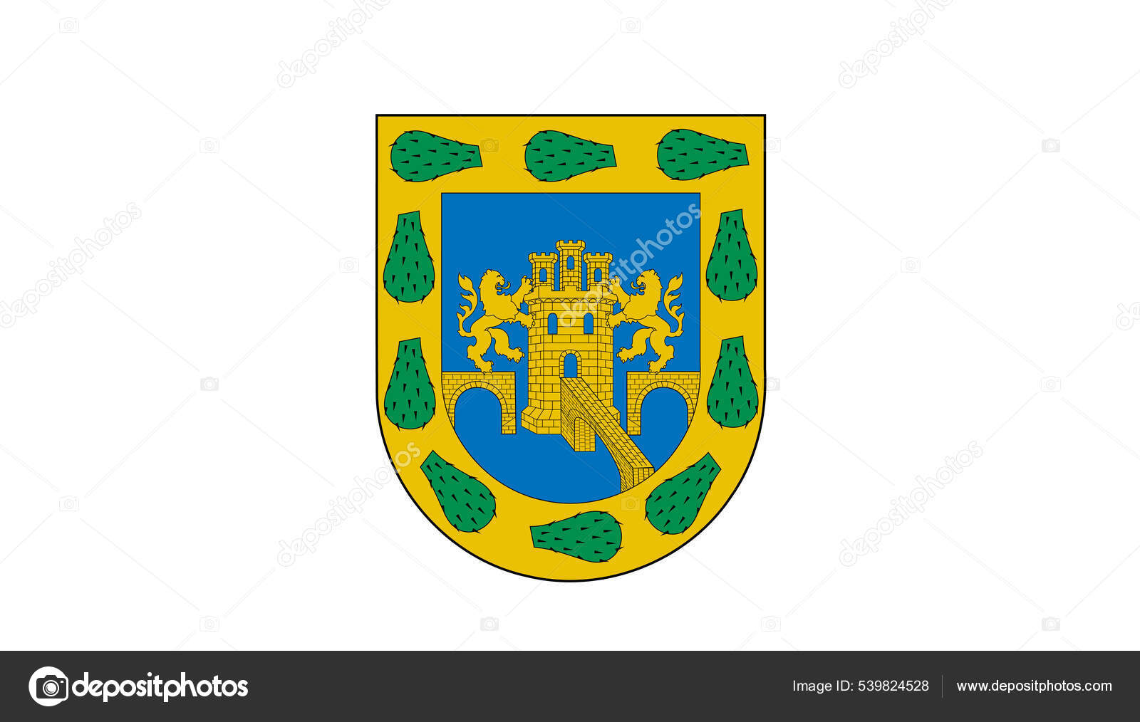 Top View Flag Distrito Federal Mexico United Mexican States Patriot ...