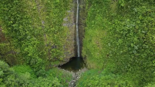 876 vídeos de Island reunion, metraje de Island reunion sin royalties ...