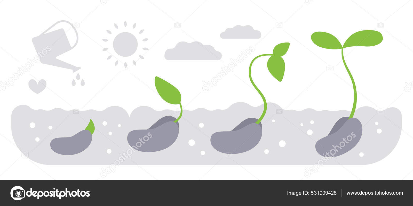 Plant growth stages. Stages of seed germination in the ground. Process ...