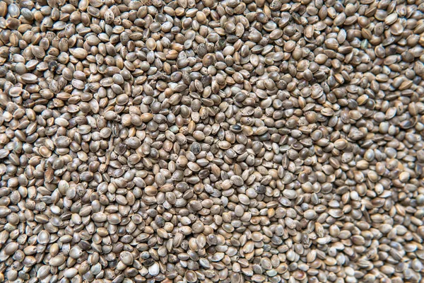 Close up hemp seeds images libres de droit, photos de Close up hemp ...