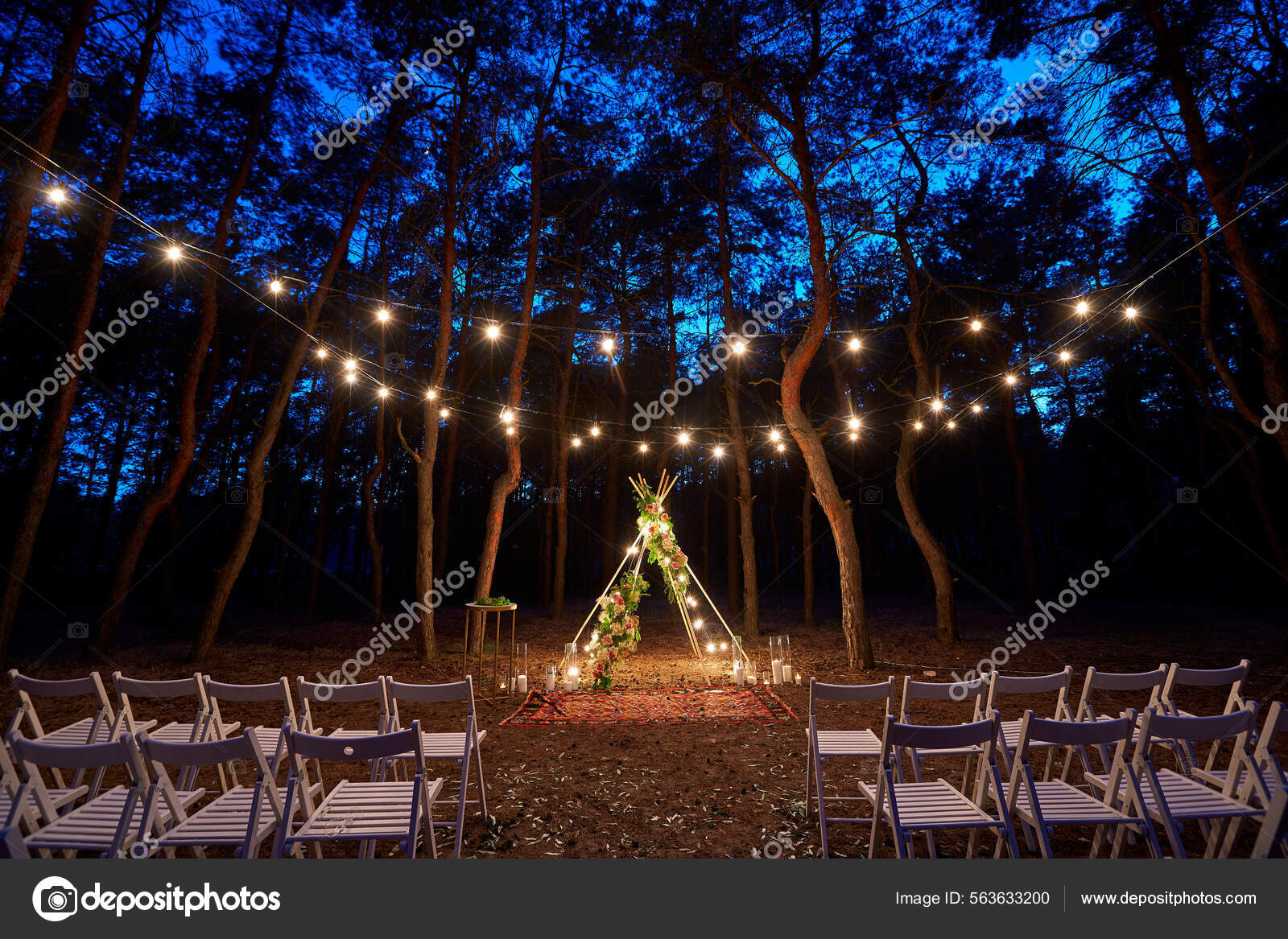 Fairy Lights Forest