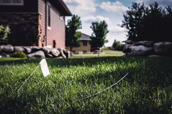 Laying fiber Images - Search Images on Everypixel