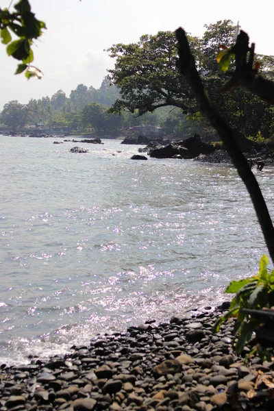 10,000,000+ imágenes de Tulsi gabbard beach libres de derechos ...