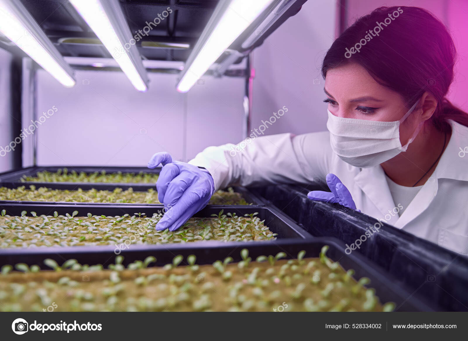 Woman examining seedlings in biology lab — Stock Photo © kegfire #528334002