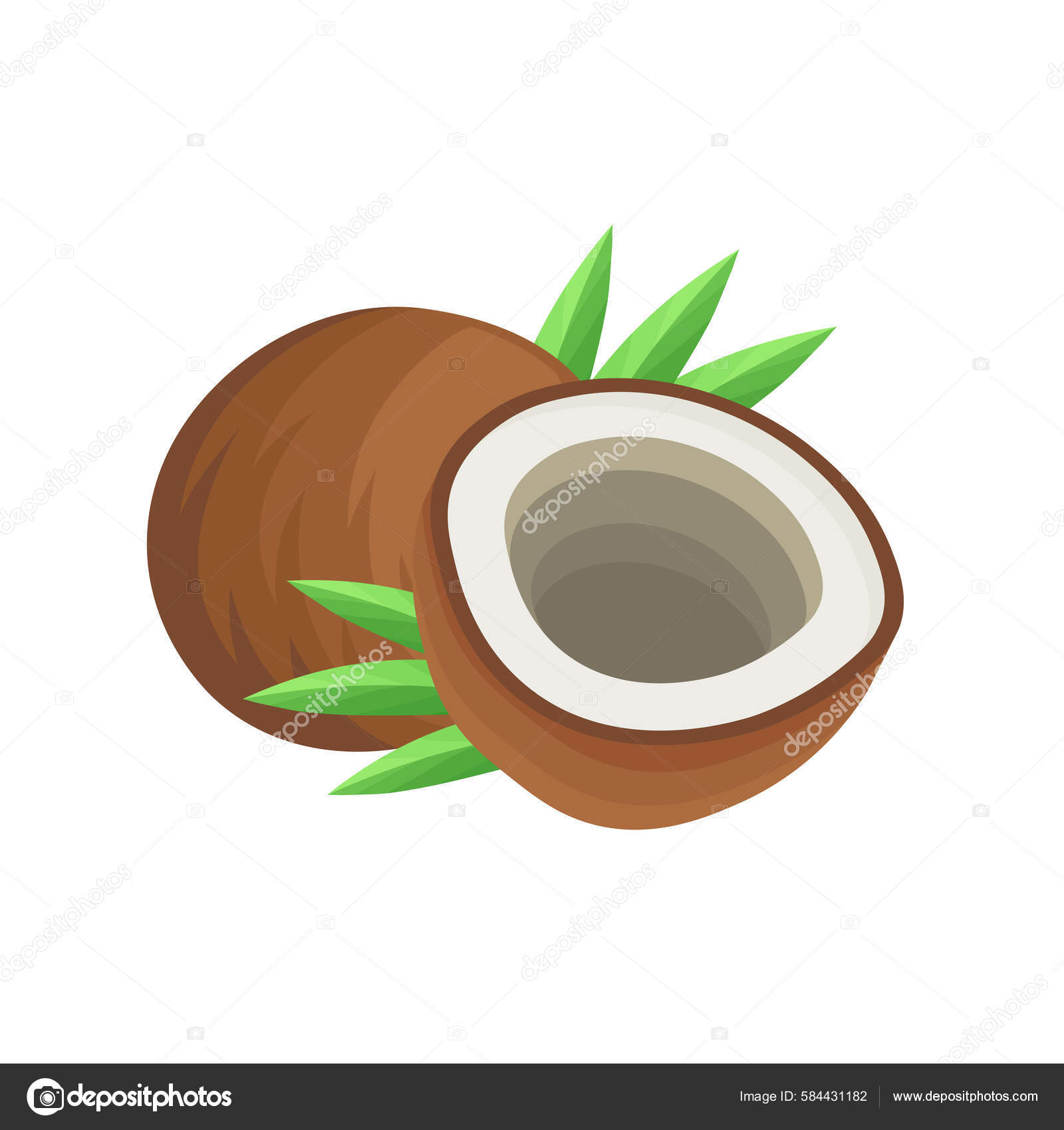 Coconut Cartoon Set Vector Illustration Half Coconut Leaves Isolated ...