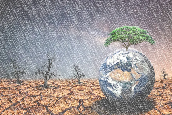 Earth Crying Because Of Pollution