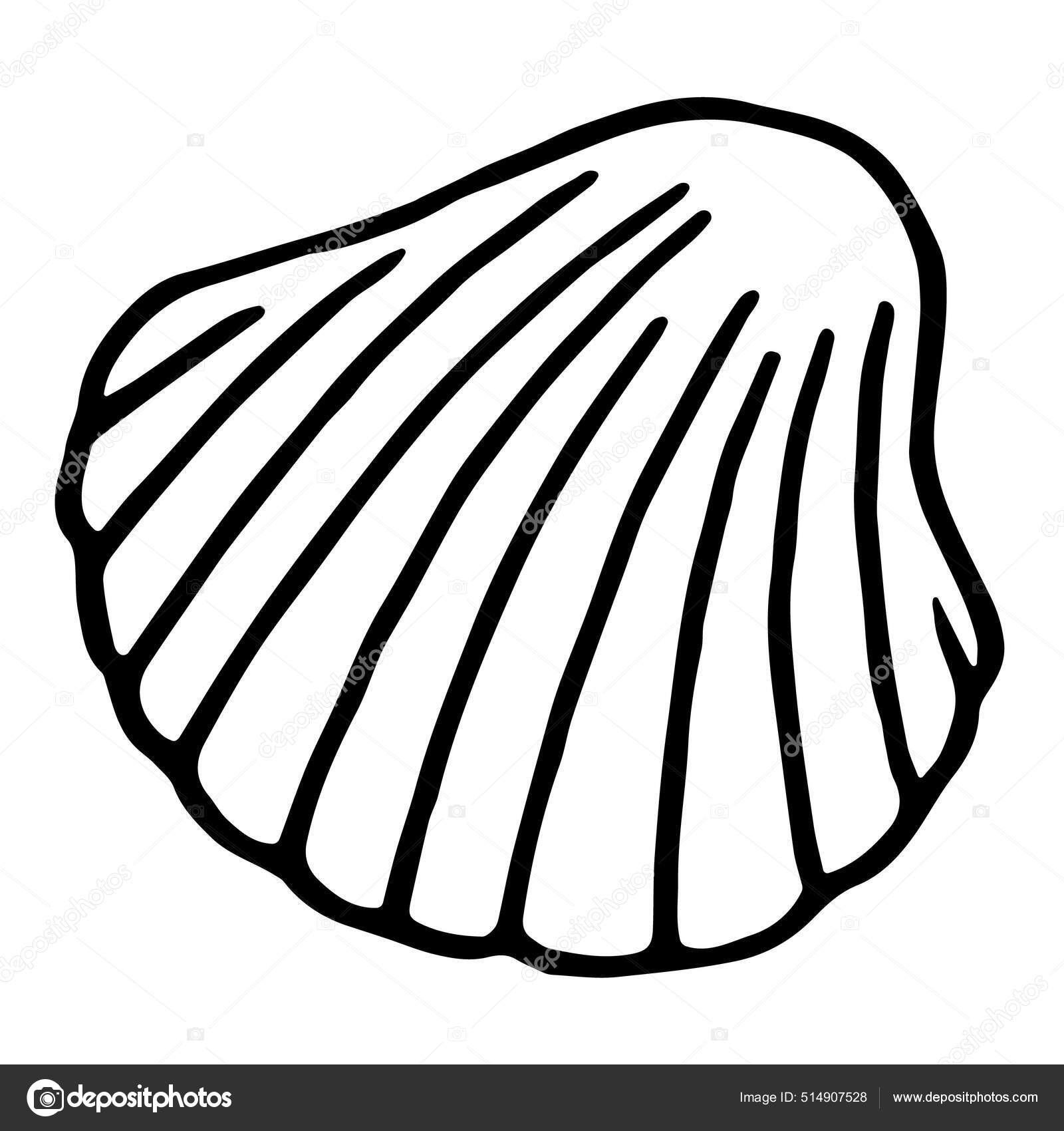 Shell Clip Art Black And White