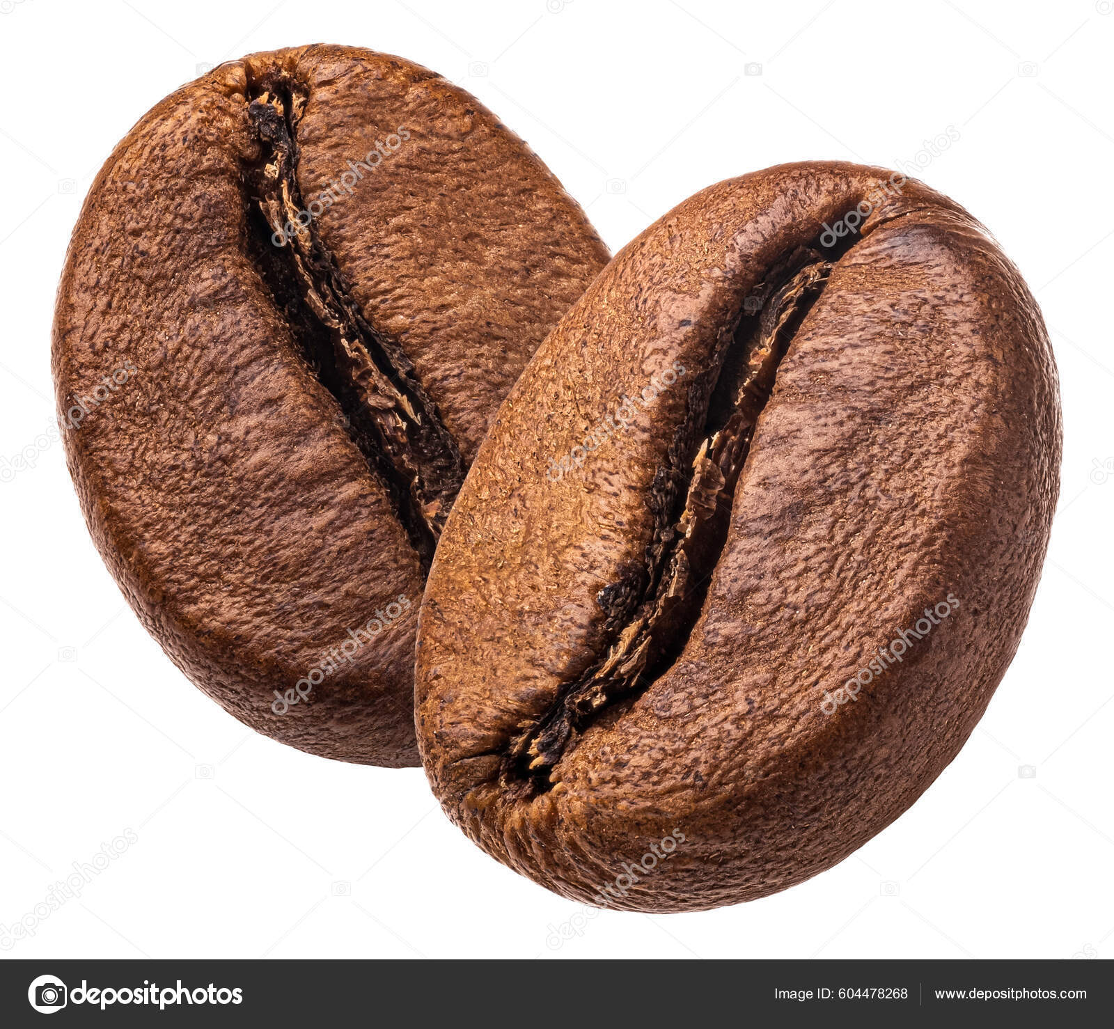 Two Roasted Coffee Beans Isolated White Background Full Depth Field ...