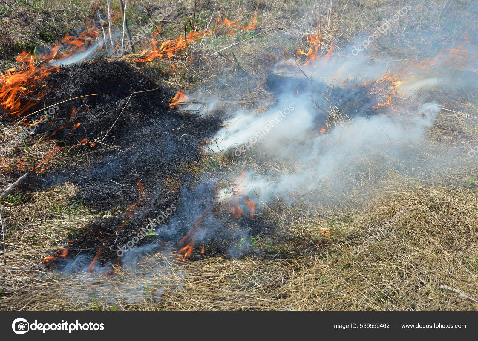 Spring Dry Grass Fire Danger Burning Grass Thatch Transforms Quickly ...