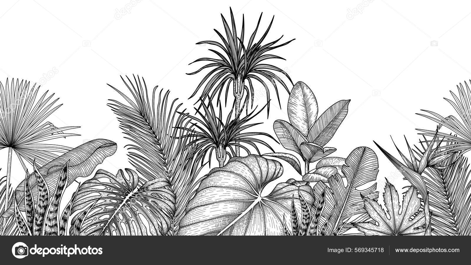 Tropical Jungle Seamless Horizontal Vector Pattern Engraving Style ... Tropical Jungle Seamless Horizontal Vector Pattern Engraving Style ...