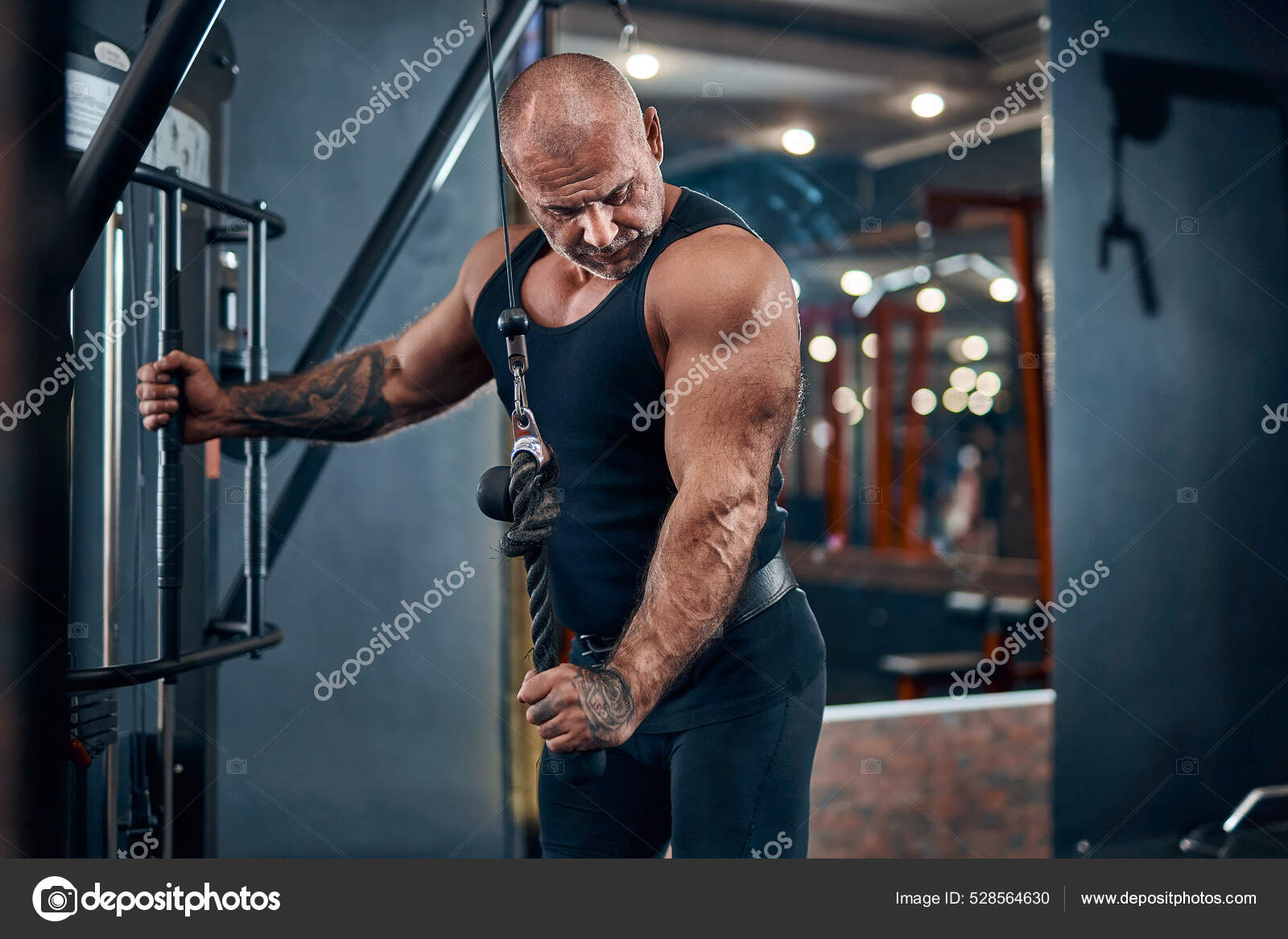 Adult bald man bodybuilder doing heavy weight exercise for triceps ...