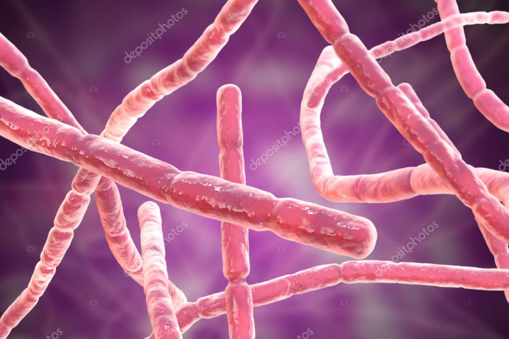 Bacterias Nocardia, ilustración 3D. Nocardia son bacterias ...