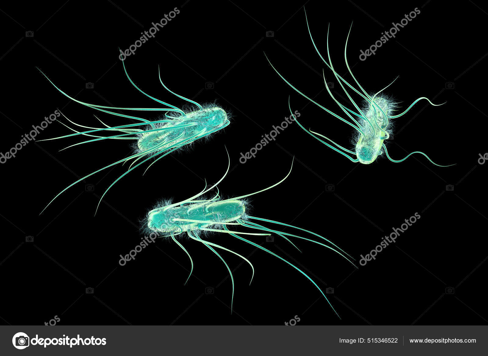 Bactérias Escherichia Coli Ilustração Coli Uma Bactéria Motil Gram ...