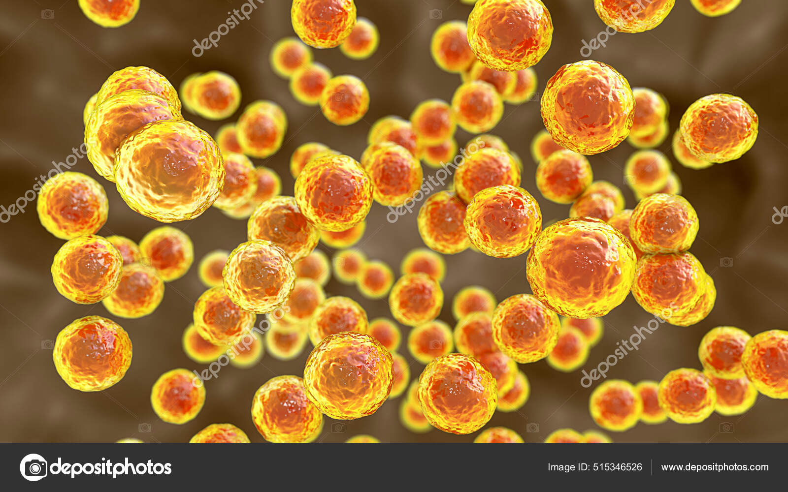Bacterias Pediococcus Ilustración Cocos Grampositivos Asociados Con ...