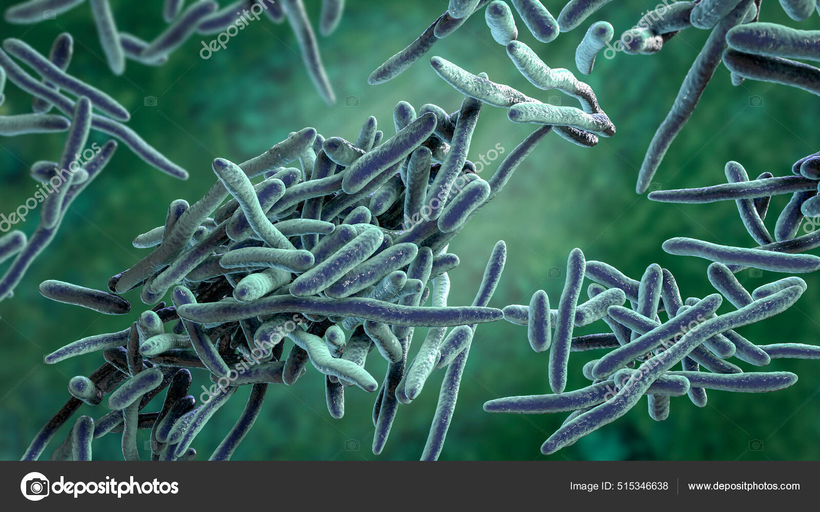 Erysipelothrix Bacteria Illustration Species Pleomorphic Rod Shaped ...